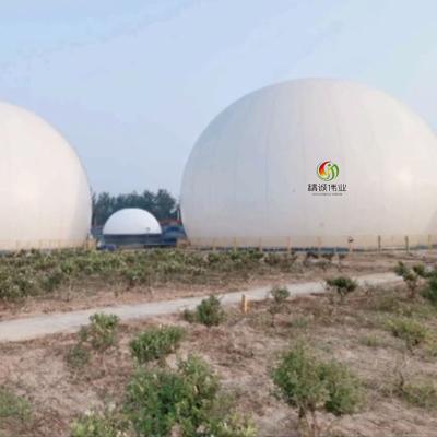 China Special Surface Treatment Biogas Gas Holder For Biogas And Wastewater for sale