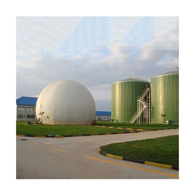 China Pig Manure Digester Tank Biogas Anaerobic Digester Capacity for sale
