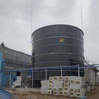 China Small Biogas Generator CNG Production Plant Biogas Companies for sale
