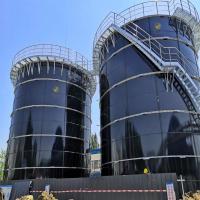China Biogas Power Biogas Unit Mini Biogas Plant Compressed Bio Gas Plant for sale