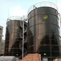 China Biogas Power Biogas Unit Mini Biogas Plant Compressed Bio Gas Plant for sale