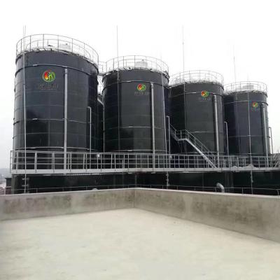 China Biogas Digester System Biogas Plant Electricity Production for sale