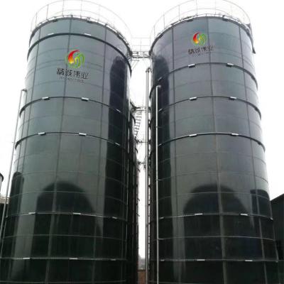 China Biogas Generation From Food Waste Large Scale Biogas Plant for sale