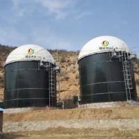 China Global Biogas Production Biogas Electricity Plant Biogas System For Sale for sale