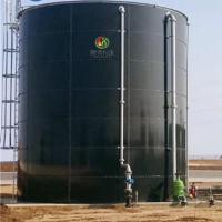 China commercial biogas digester Continuous Biogas Plant Poultry Waste Biogas Plant for sale