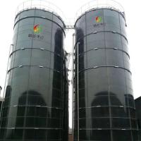 China commercial biogas digester Continuous Biogas Plant Poultry Waste Biogas Plant for sale