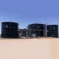 China Biogas Production From Biomass Cow Dung Biogas Plant for sale