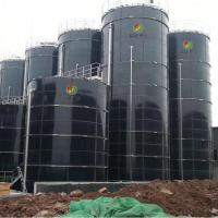 China Biogas Production Plant With Biogas Bag Digester In Europe for sale