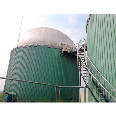 China 1 MW Biogas Power Plant Cost Bio Gas Plant  For Home for sale