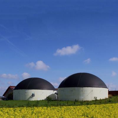 China High Efficiency Biogas Plant Project With Anaerobic Digestion Technology for sale