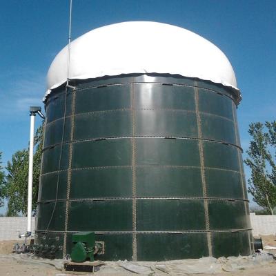 China Customized Volume Anaerobic Reactor for Wastewater Treatment for sale