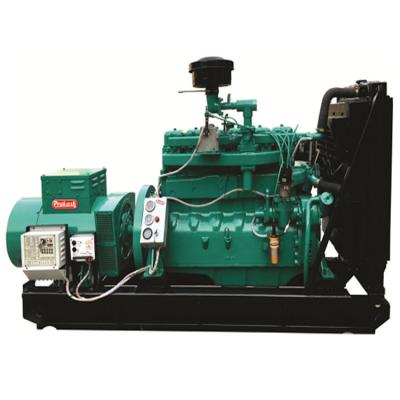 China LPG Organic Waste Power Generator Customized for sale