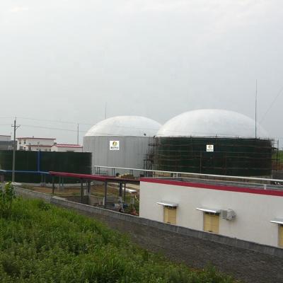 China Municipal Wastewater Treatment Anaerobic Digester Tank With 1 Year Warranty for sale