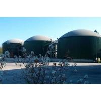 China Municipal Wastewater Treatment Anaerobic Digester Tank With 1 Year Warranty for sale