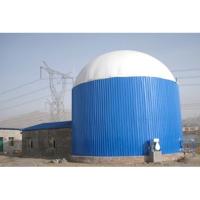 China GB Standard Full Automatic Control Biogas Treatment Equipment Anti Corrosion Coating for sale