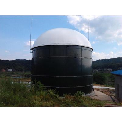 China Biogas and Wastewater Storage Gas Holder Anaerobic Reaction Install for sale