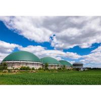 China Anti Corrosion Flexible Dual Membrane Gas Storage Tank With PES/PVC/PDFE Material for sale