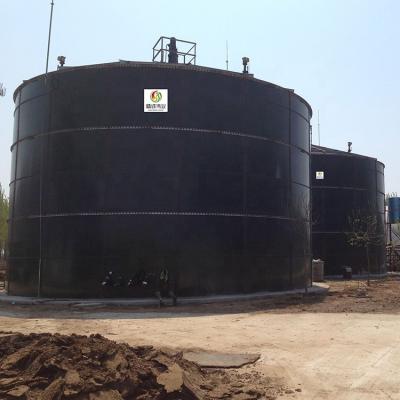China Customized Anaerobic Reactor Manner Of Preservation for sale