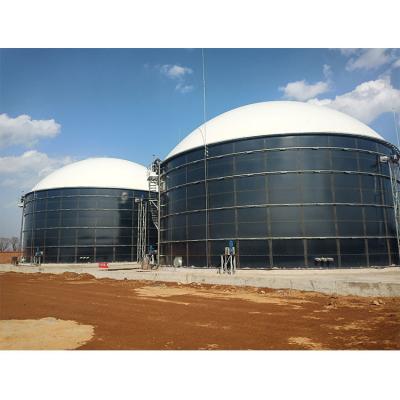 China Q235B Steel Plate Anaerobic Reactor with Customized Volume for sale