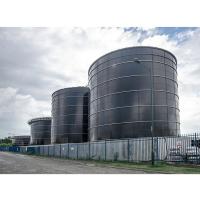 China Industrial Batch Carbon Steel And Stainless Steel Anaerobic Reactor for sale