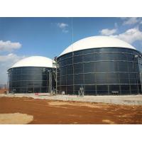 China Industrial Batch Carbon Steel And Stainless Steel Anaerobic Reactor for sale