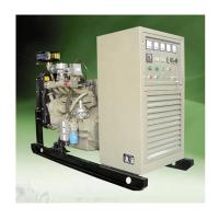 China Customized Power Output Biogas Electricity Generator Corrosion Resistant for sale