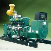 China Anaerobic Digestion Biogas Electricity Generator Low Noise Level for sale