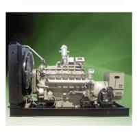 China Internal Combustion Engine Biogas Powered LPG Generator for sale