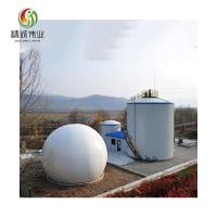 China CSTR Continuous Stirred Tank Reactor 1000m3 UASB EGSB Chicken Manure Digester for sale