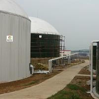 China Anaerobic Fluidized Bed Reactor UASB Biogas From Chicken Manure for sale