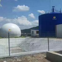 China Giant Cow Manure Methane Digester ASBR Anaerobic Sequencing Batch Reactor for sale