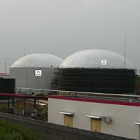 China Giant Cow Manure Methane Digester ASBR Anaerobic Sequencing Batch Reactor for sale