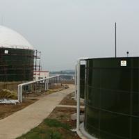 China High Rate Anaerobic Reactor Kitchen Waste Digester Upflow Anaerobic Sludge Bed for sale