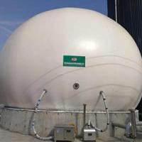 China Biogas EGSB Reactor Upflow Anaerobic Sludge Blanket Digestion For Chicken Manure for sale