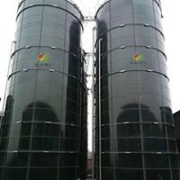 China Biogas EGSB Reactor Upflow Anaerobic Sludge Blanket Digestion For Chicken Manure for sale