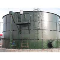China EGSB Anaerobic Reactor Wastewater Treatment Manure Methane Digester for sale