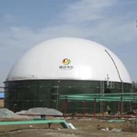 China EGSB Anaerobic Reactor Wastewater Treatment Manure Methane Digester for sale