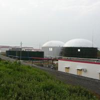China UASB Anaerobic Reactor Up Flow Anaerobic Sludge Blanket Reactor for sale