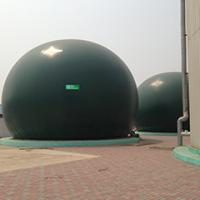 China Animal Manure Gobar Biogas Plant Design And Construction Project for sale