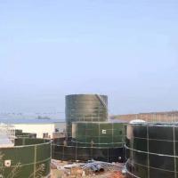 China CH4 CO2 Biogas Plant Project Q235B Biogas Cogeneration Plant for sale