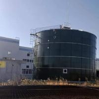 China CH4 CO2 Biogas Plant Project Q235B Biogas Cogeneration Plant for sale
