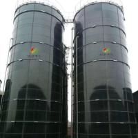 China N2O Gobar Gas Balloon Biogas Plant Project Anaerobic Digestion Tank for sale