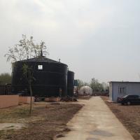 China N2O Small Biogas Plant Project Methane Biogas Storage Balloon for sale