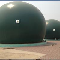 China Anaerobiosis Bio Gas Holder PDFE Containerised Biogas Plant Flexible for sale