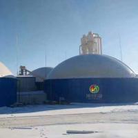 China Green PDFE Double Membrane Biogas Holder Gas Holder In Biogas Plant for sale