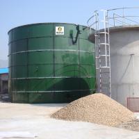China Chicken Manure CSTR Tank Livestock Continuous Stirred Tank Reactor for sale