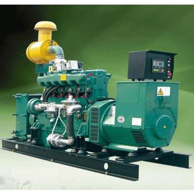 China 200KW Biogas Generator Set 415V Gas Turbine Electricity Generation for sale