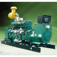 China 100KW Biomass Engine Driven Generators Biogas Electric Generator For Home for sale