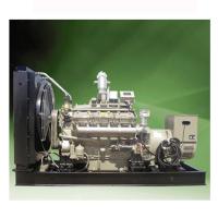 China High Durability Biogas Generator Equipment For Power Generation for sale