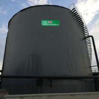 China UASB Biogas Digester Construction Biogas Plant Project 1 Mw Biogas Power Plant for sale